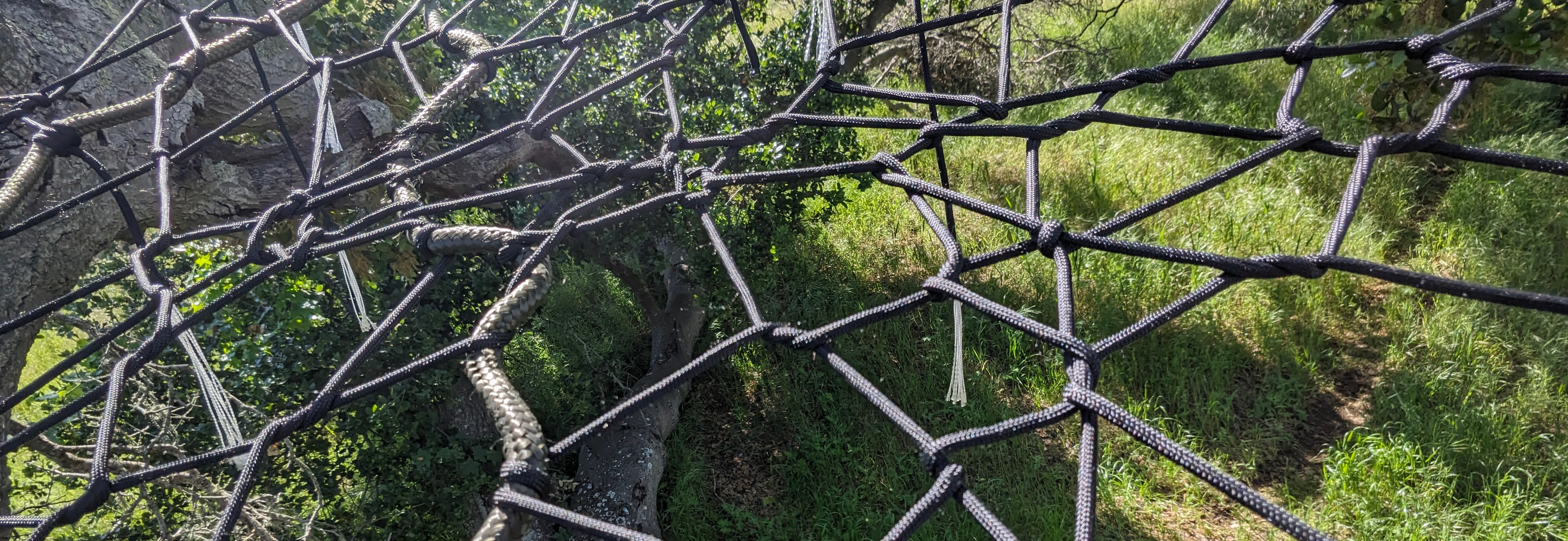 Projects | Alex Herman